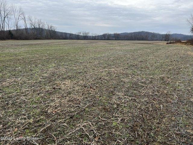 Beaver Dam Rd, Caneyville, KY 42721