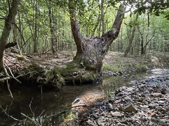 Beaver Dam Rd, Creedmoor, NC 27522