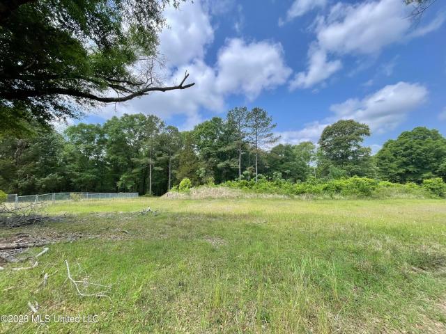 Beaver Dam Rd, Lucedale, MS 39452 | MLS #4147