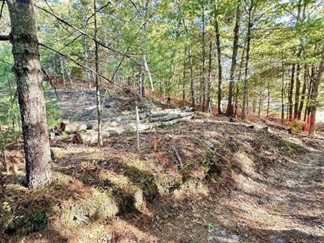 Beaver Dam Rd, Plymouth, Plot For Sale