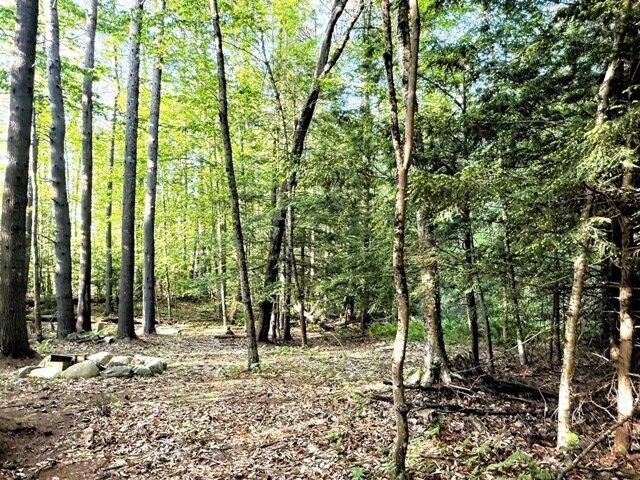 Beaver Dam Rd, Waterboro, Plot For Sale