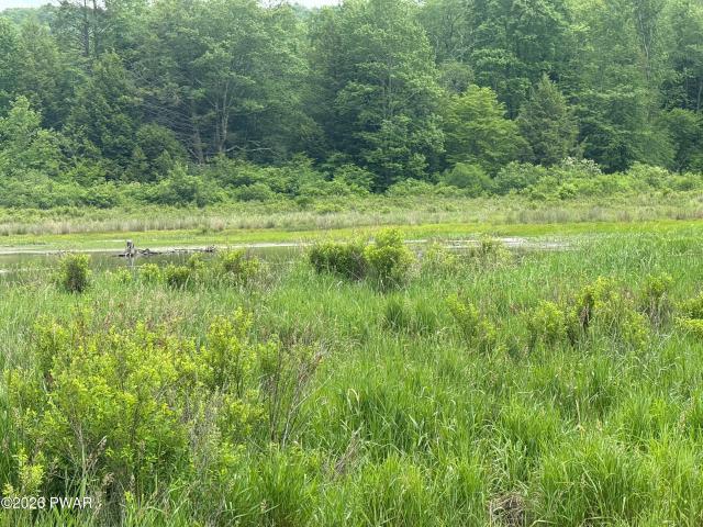 Beaver Hollow Road