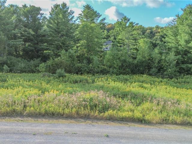 Beaver Meadow