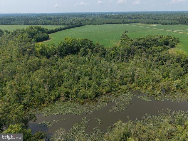 Beaver Neck Village Rd, Cambridge, MD 21613