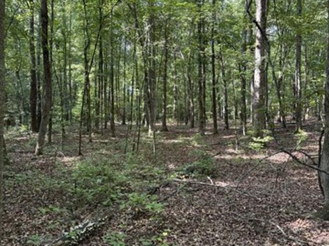 Beaverdam Rd, Winterville, GA 30683