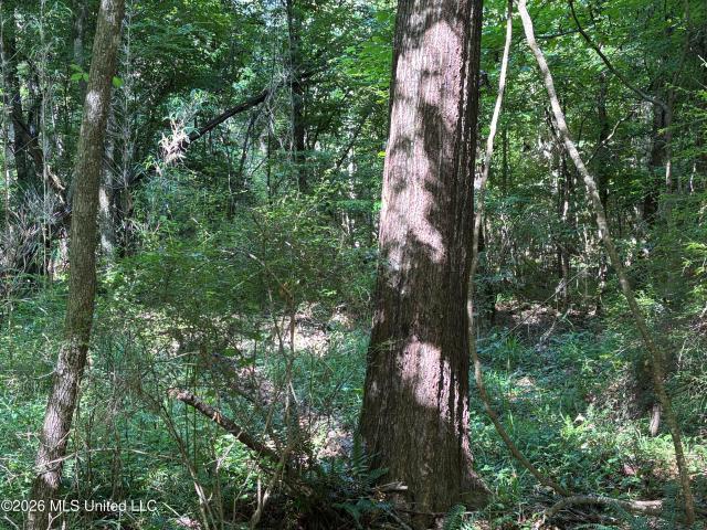 Beach Road, Roxie, MS 39661