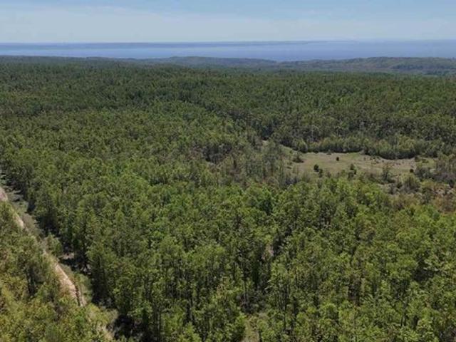 Beacon Hill Rd, Harbor Springs, MI 49740