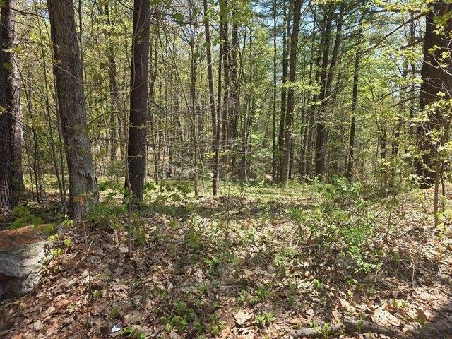 Beacon St Lot,orange, Plot For Sale