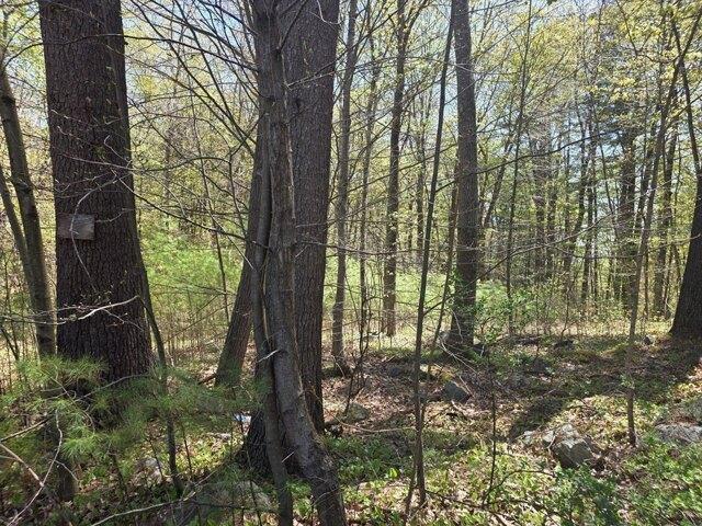 Beacon St Lot,orange, Plot For Sale