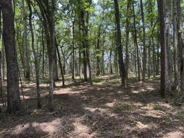 Beagle Club Rd, Meggett, SC 29449