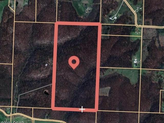 Beamon Holw, Goodman, MO 64843