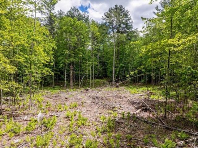 Bean Rd, Plainfield, Plot For Sale