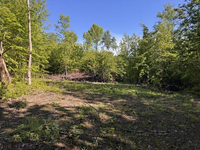 Beans Corner Rd Lot,new Sharon, Plot For Sale