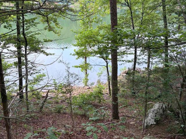 Bear Mountain Rd