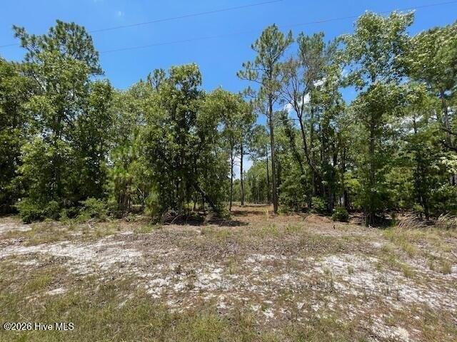 Bear Branch Dr, Currie, NC 28435