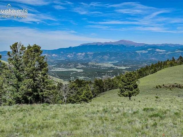 Bear Cat Rd, Guffey, CO 80820