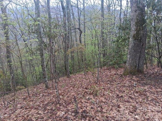 Bear Creek Rd, Maggie Valley, NC 28721