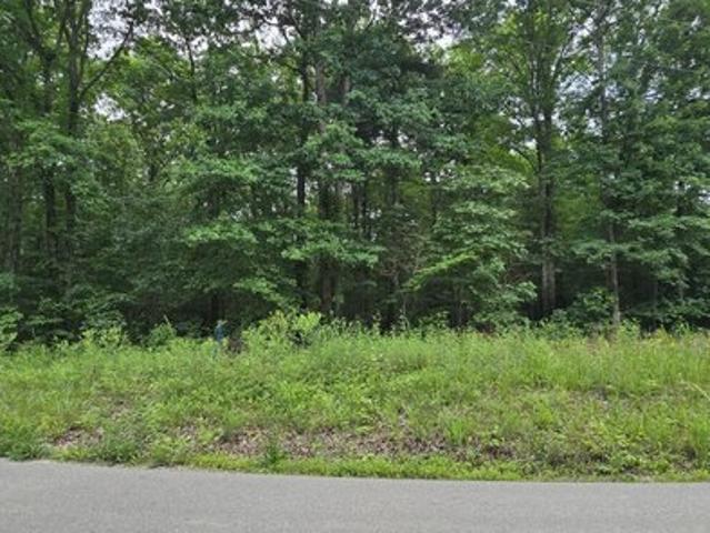 Bear Creek Rd Lot 48 49, Winfield, TN 37892