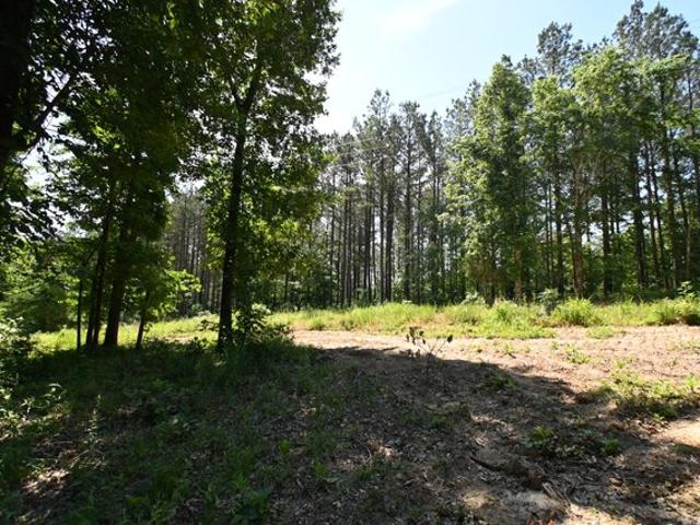 Bear Creek Rd, Waverly, TN 37185