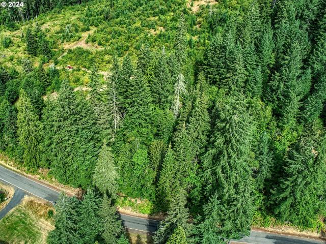 Bear creek rd