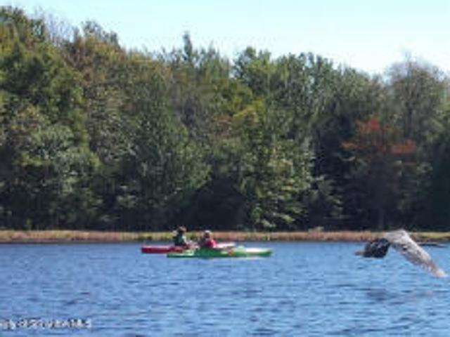 Bear Dr, Newfoundland, PA 18445 | MLS #SC4424
