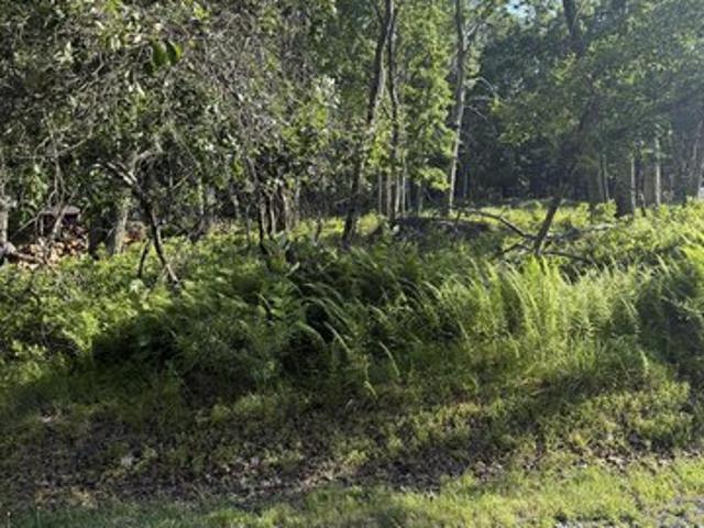 Bear Dr Lot 74, Bushkill, PA 18324