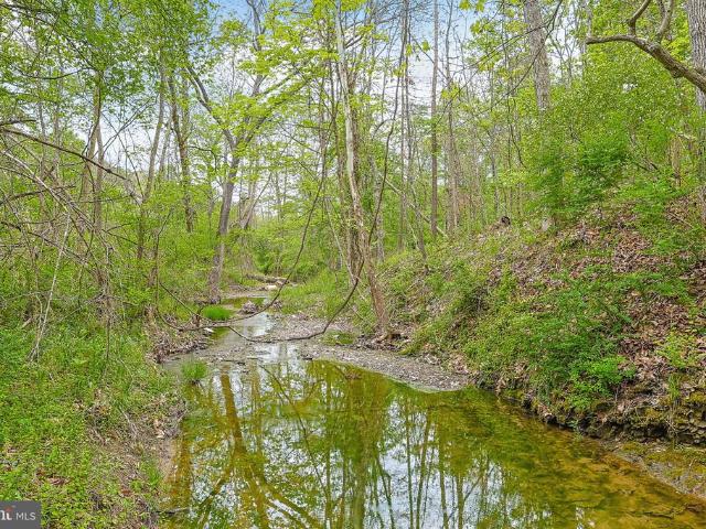 Bear Hill Road SE