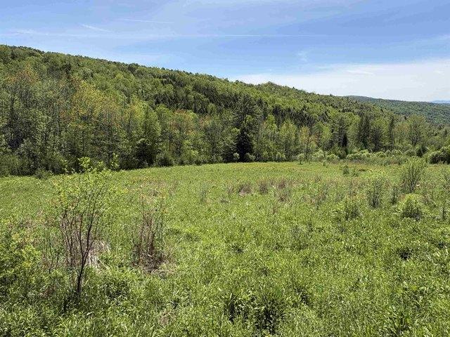 Bear Hill Rd, Brookfield, VT 05036