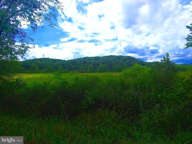 Bear Hill Rd, Oldtown, MD 21555 | MLS #MDAL2012 | Compass