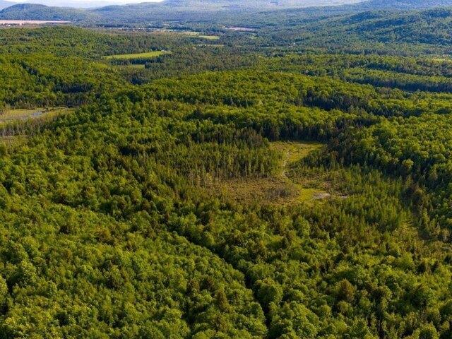 Bear Hill Rd Lot,guildhall, Plot For Sale