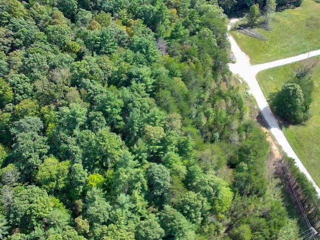 Bear Hollow Rd, Oneida, TN 37841