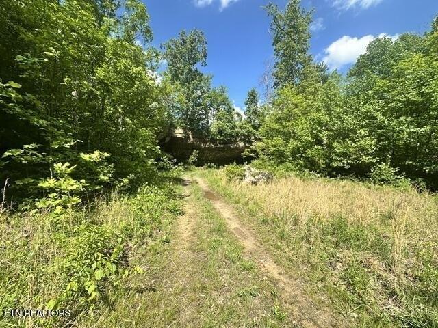 Bear Knob Ln, Crawford, TN 38554