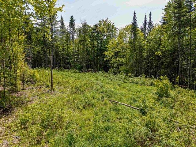 Bear Paw Trl, Littleton, Plot For Sale