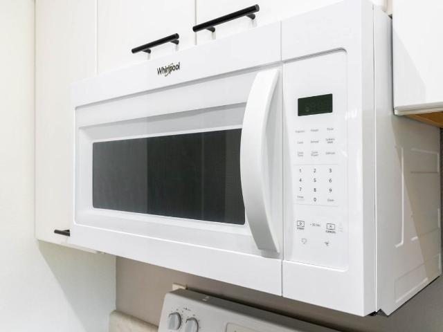 Bear Paw Commons 4 Bedroom Apartment for Rent at 405 E Madison St, Springfield, MO 65806