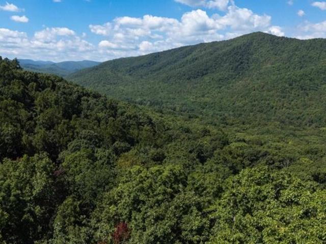 Bear Path Ln, Lyndhurst, Plot For Sale