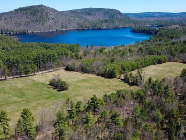 Bear Pond Rd Lot,waterford, Plot For Sale
