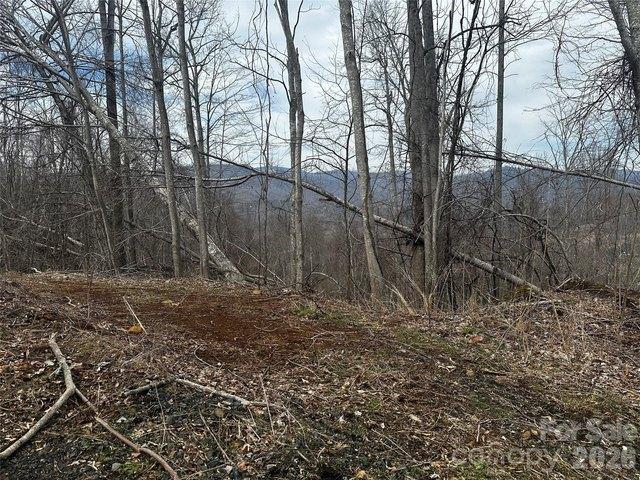 Bear Ridge Rd, Bakersville, NC 28705