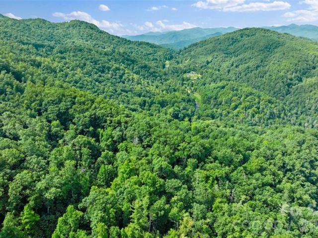 Bear River Lodge Trl Unit 132, Marshall, NC 28753