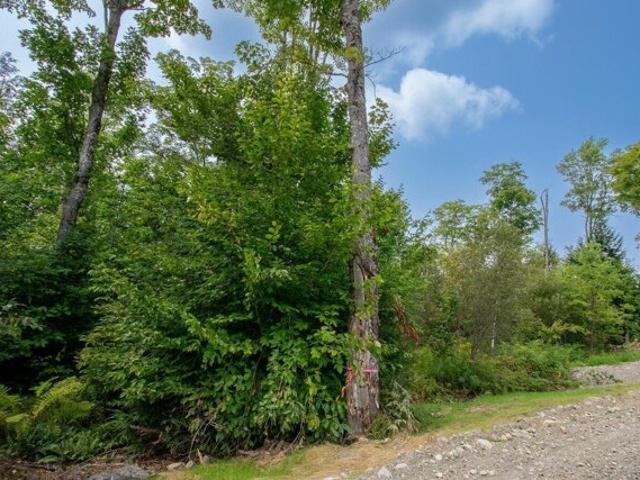 Bear Subdivision Brk Lot,sebec, Plot For Sale