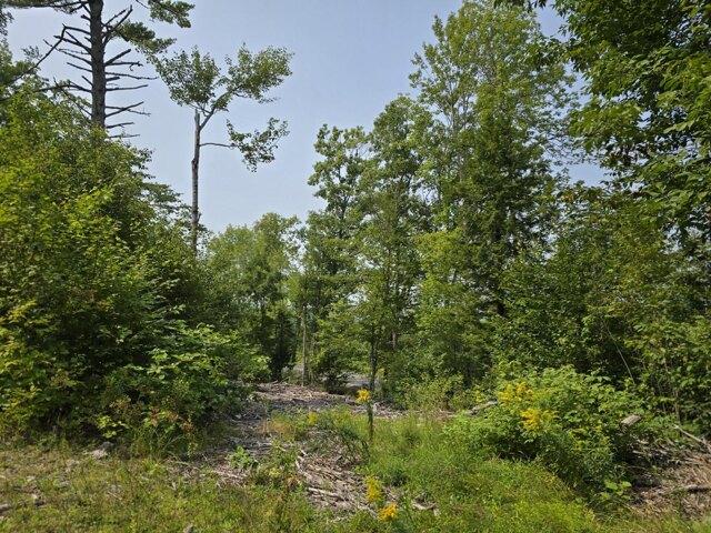 Bear Subdivision Brk Lot,sebec, Plot For Sale