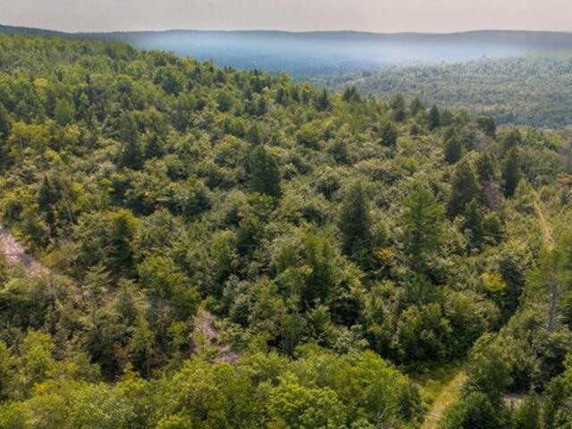 Bear Subdivision Brk Lot,sebec, Plot For Sale