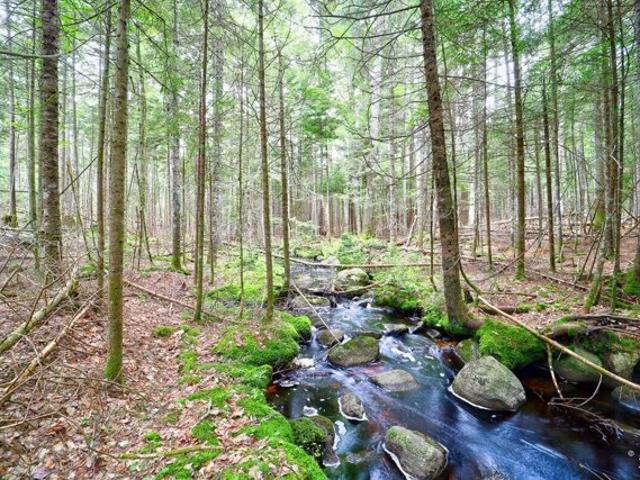 Bear Springs Ln Lot,surry, Plot For Sale