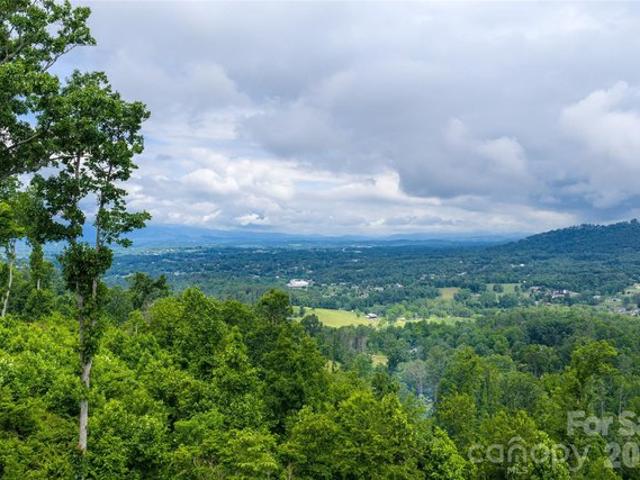 Bear View Rd, Weaverville, NC 28787