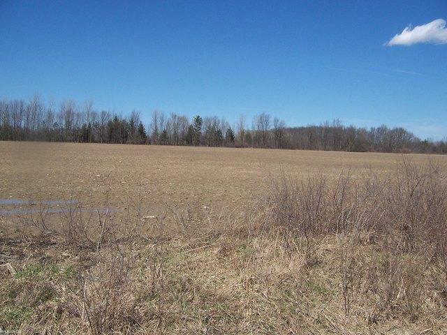 Beard Rd Lot 3, Avoca, MI 48006