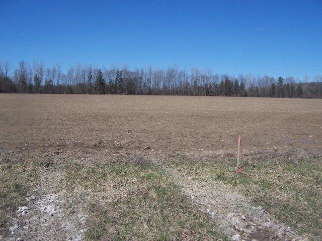 Beard Rd Lot 4, Avoca, MI 48006