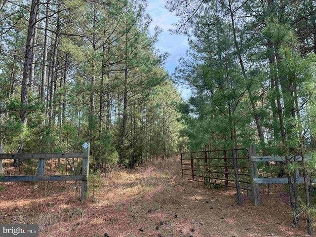 Bearskin Rd, Chatham, VA 24531
