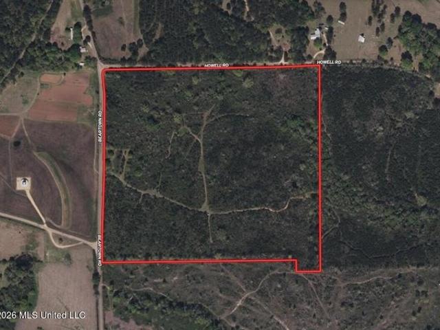 Beartown Rd, Jayess, MS 39641