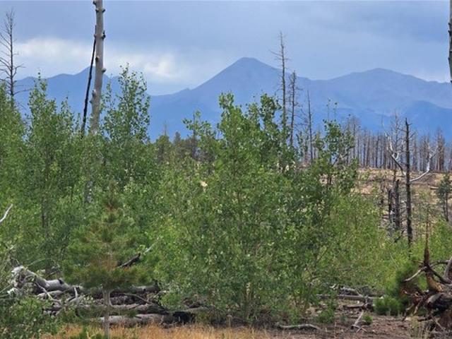 Bechtel Pl Lot 1177, Fort Garland, CO 81133