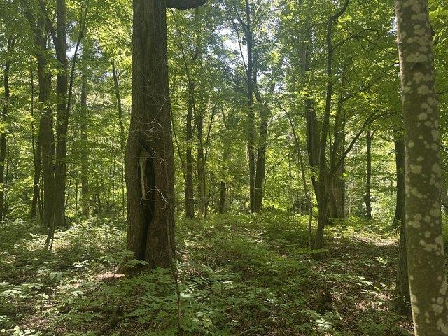 Becker Rd Lot 1, Elk Mound, WI 54739