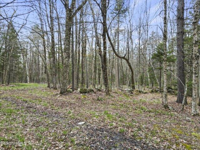 Becket MA 01223 LS102119996